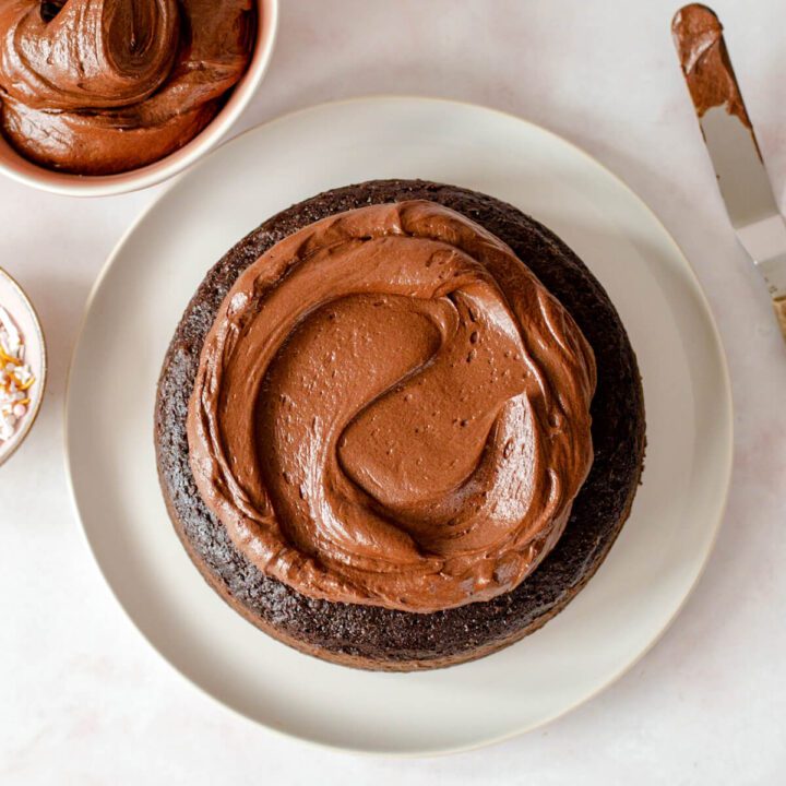 Homemade Chocolate Frosting (Extra Rich!) - Tara Teaspoon