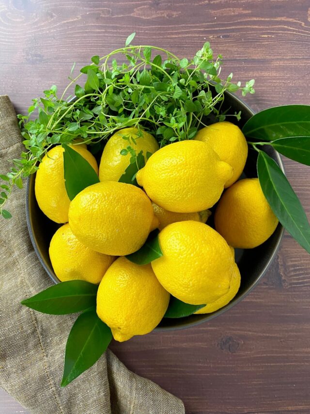 Candied Lemon Zest - Tara Teaspoon